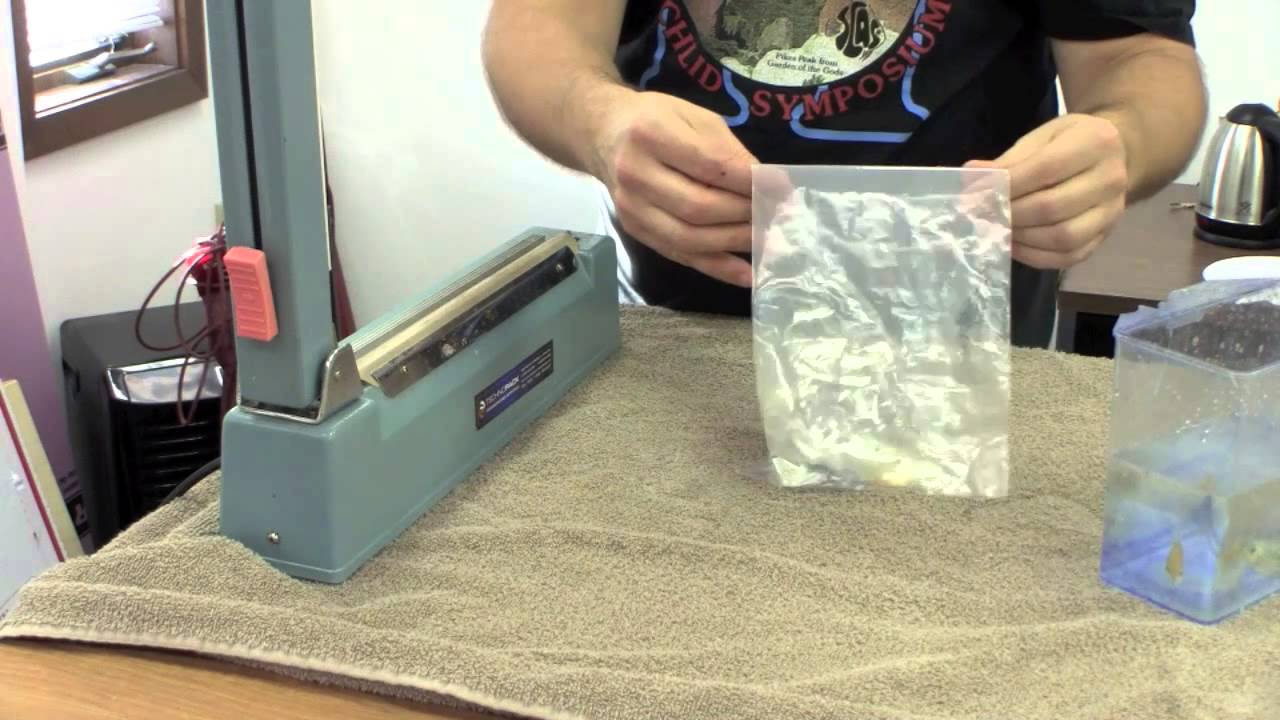 Packing Fish Part 3 - YouTube