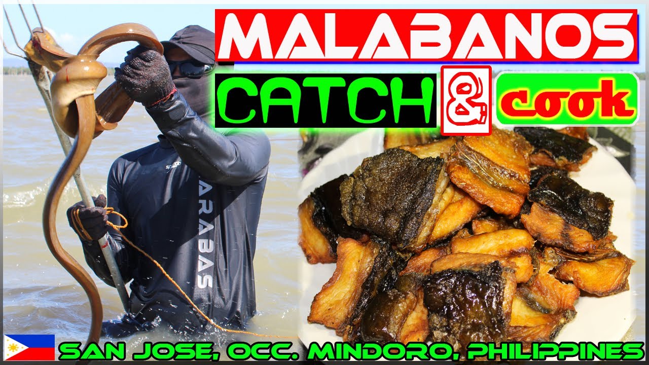 EP68 - Malabanos Eel Catch 'n Cook + Various Sea foods | Occi. Mindoro ...