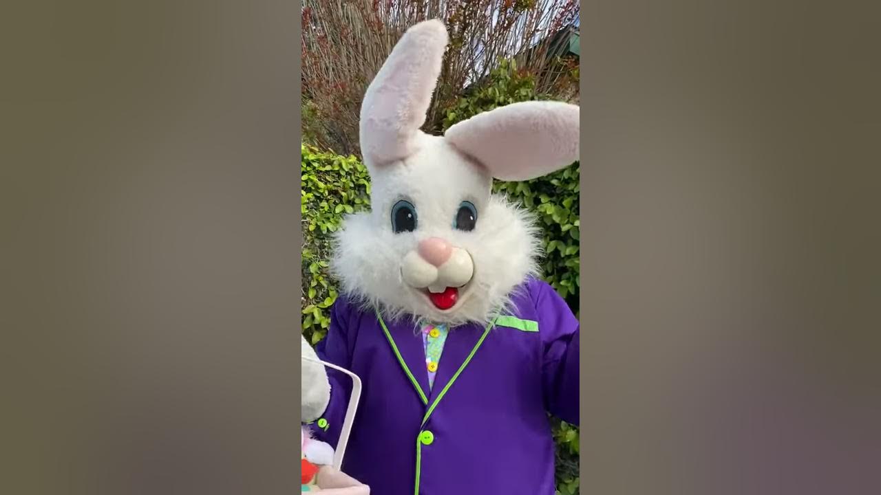 Number #1 Easter Bunny Virtual Visit for Kids, Families, & Friends ...