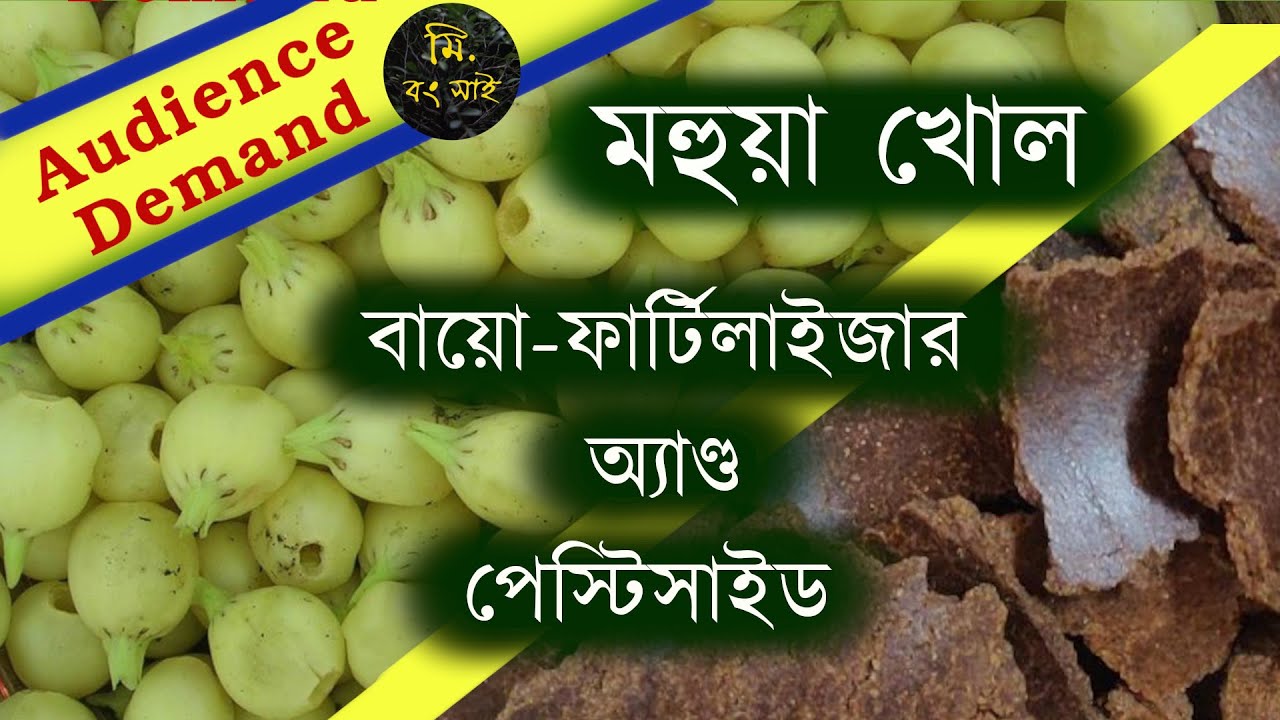 Mahua Oil Cake Powder | মহুয়া খৈলের ব্যবহার | #mrbongsai #fertilisers ...