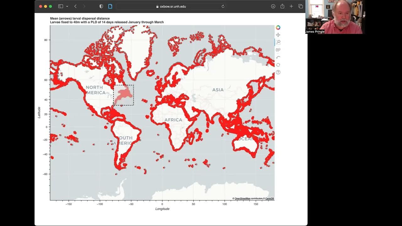 How to manipulate interactive plots - YouTube