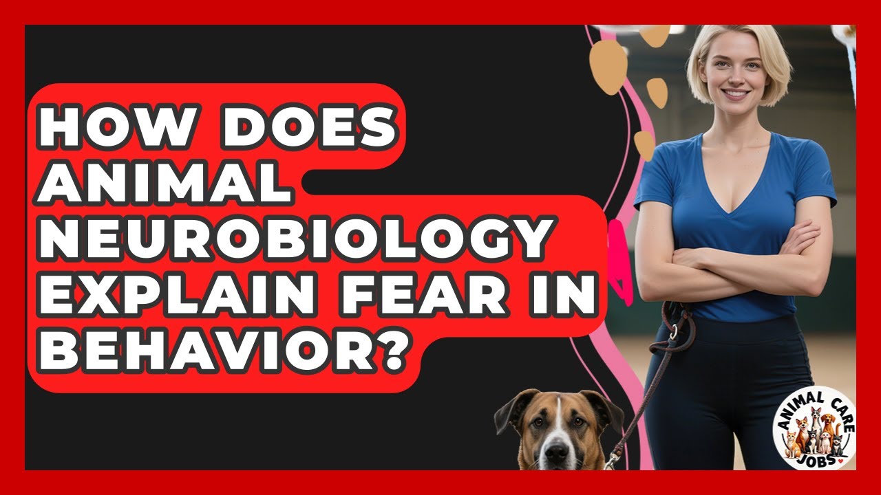 How Does Animal Neurobiology Explain Fear In Behavior? - Animal Care ...