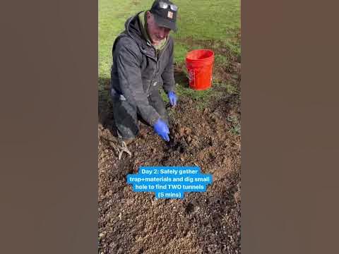 Finally a mole removal trick that works. Love, Dad - YouTube