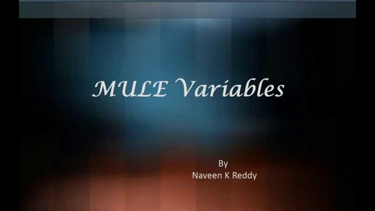 Mule Variables Demonstration - YouTube