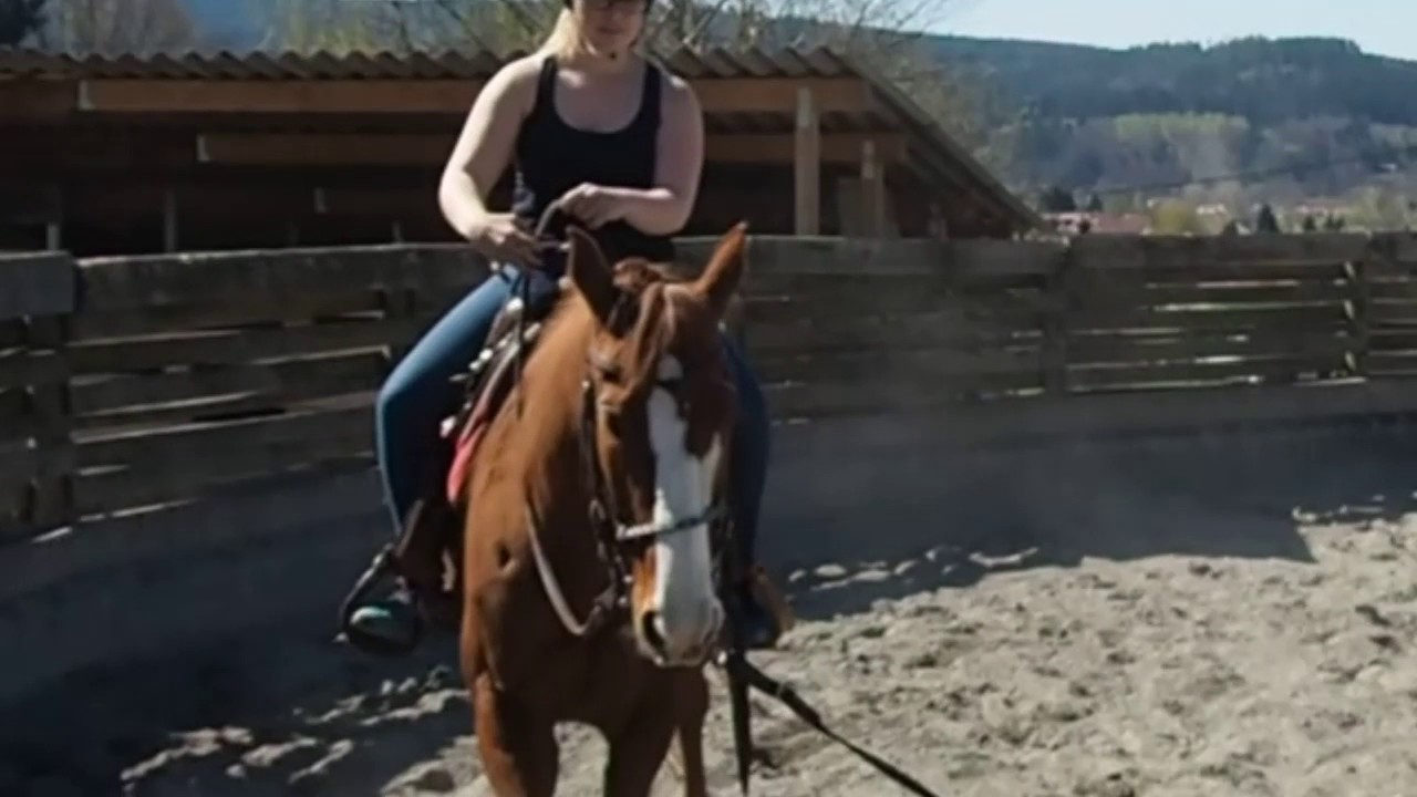 Amy1 Youtube
