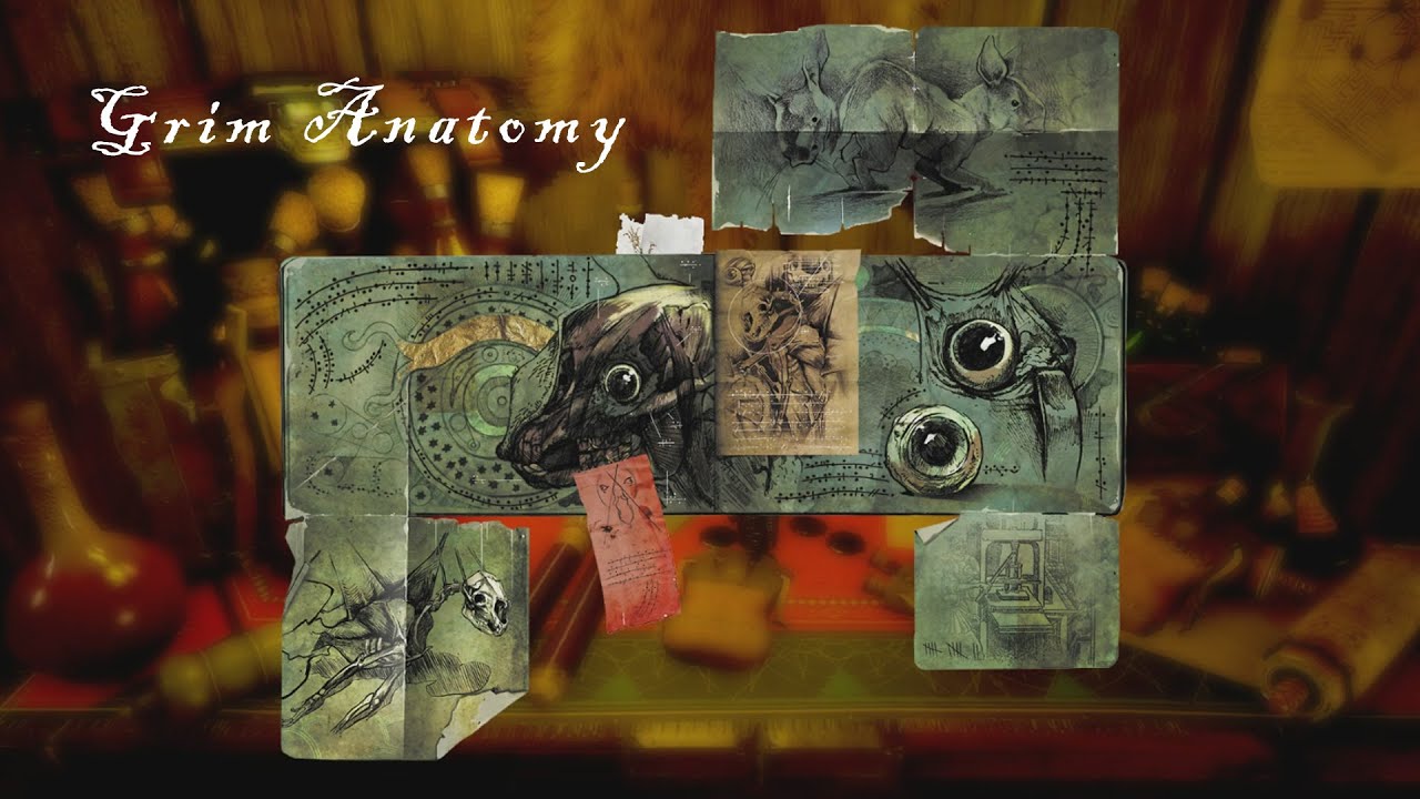 BONFIRE ] The Grim Anatomy: Reimagined - YouTube