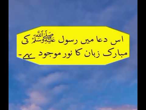 Beautiful dua#islamic #quran #viralvideo #allah #viralshorts #instagram #quotes #islam #islamicvideo