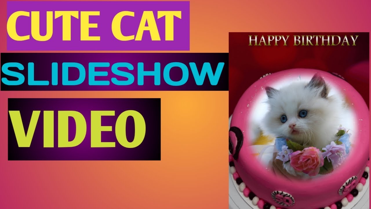 Cute Cat Slideshow. Birthday Video Background Music. #cutecat # ...