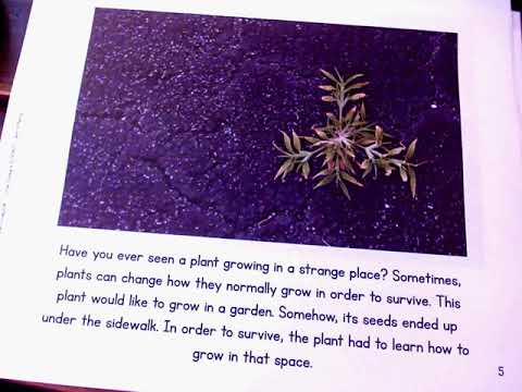 Science Read Aloud How Plants Adapt - YouTube