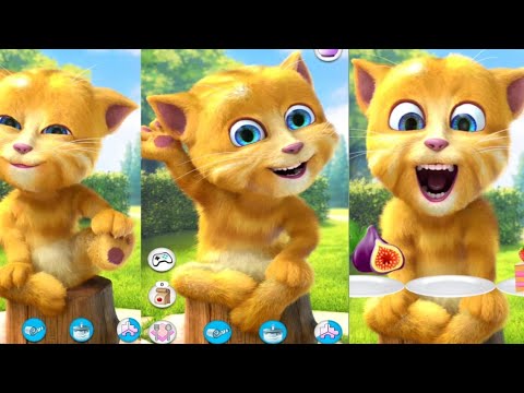 talking ginger new viral album release 😂 funniest moments🤣 & eat all ...