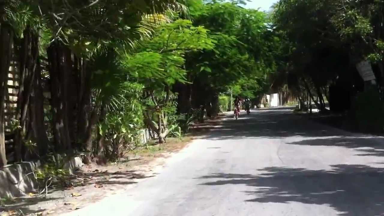 More adventures on the Tulum beach road in Mexico - YouTube