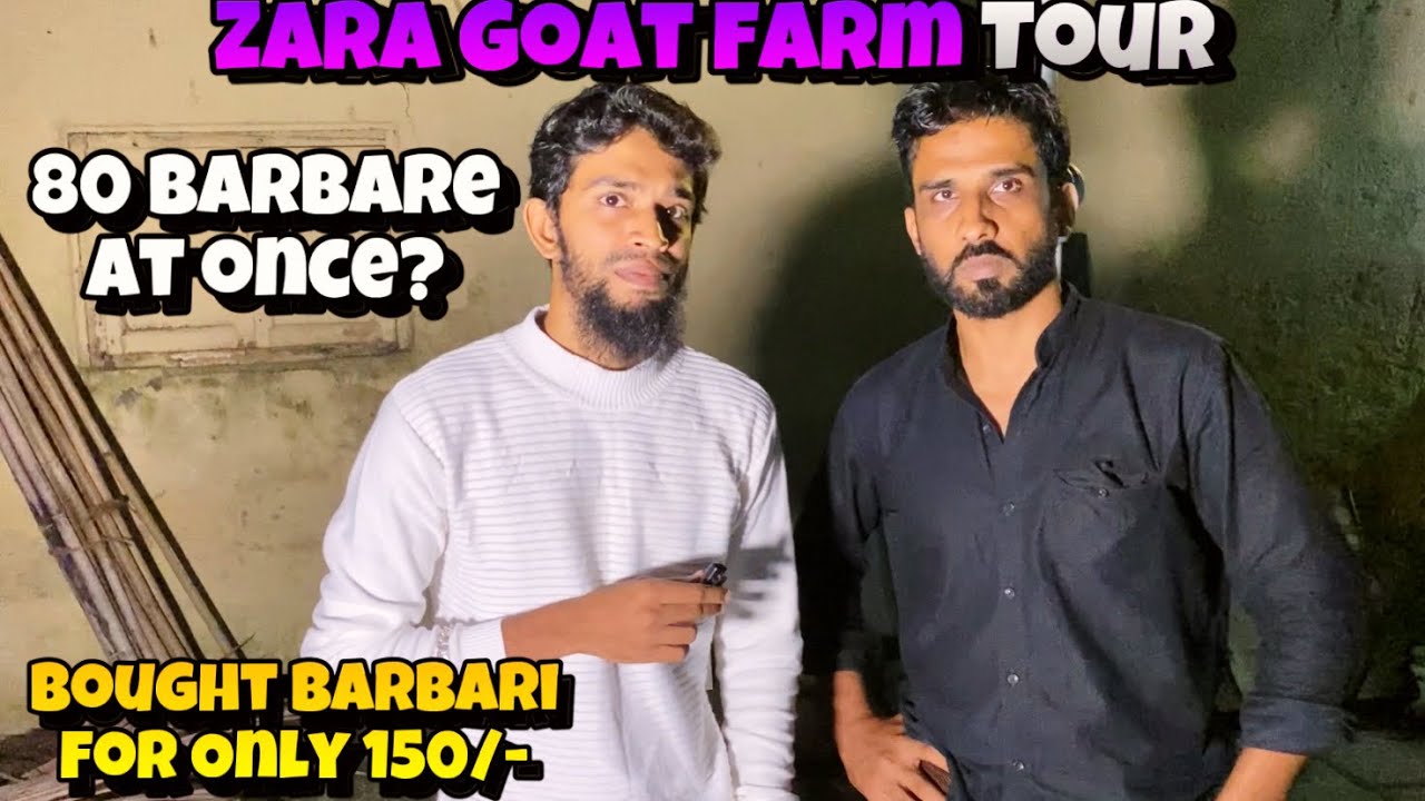 One Of The Oldest Goat Farm Setup| Zara Goat Farm With Friends Goat ...