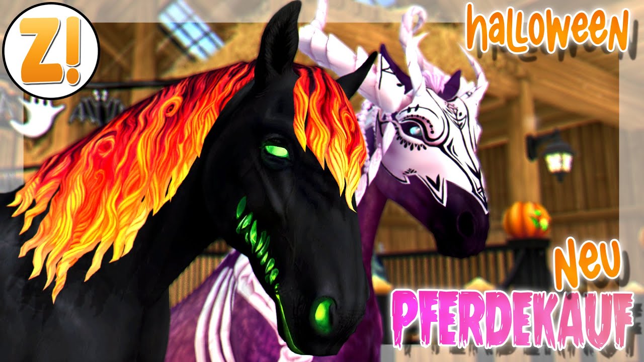 WIR KAUFEN DIE BEIDEN NEUEN HALLOWEEN PFERDE! 🐴 PFERDEKAUF LAVERNA ...