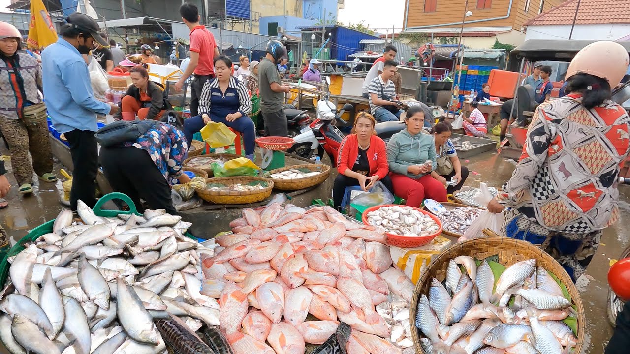Fish Market Scenes Early Morning - Massive Wholesale Fish Trading Site ...