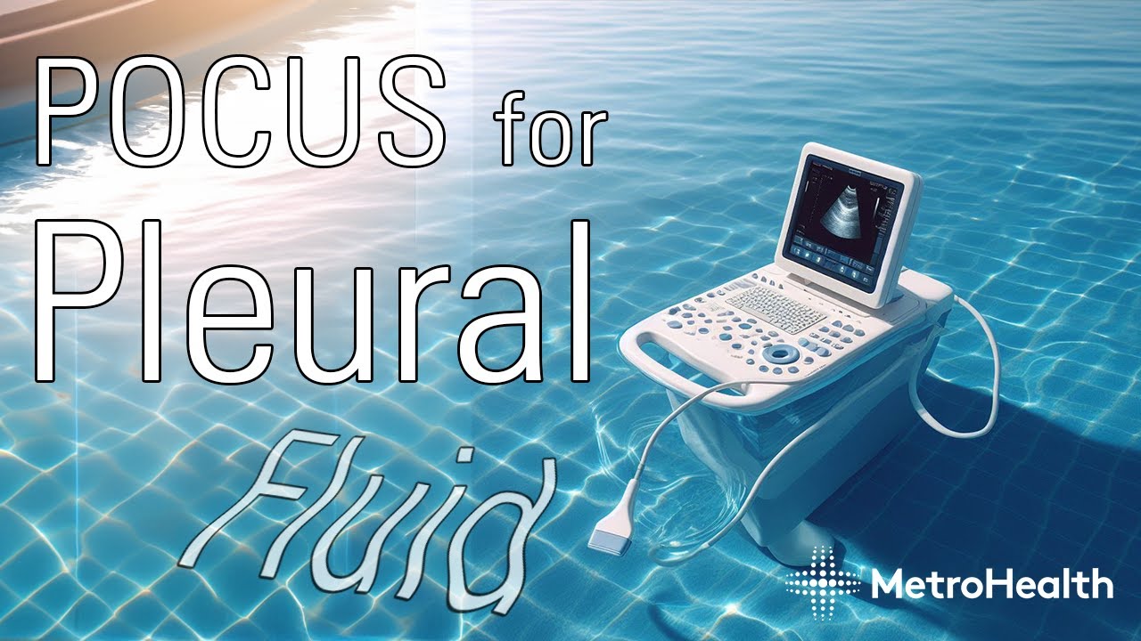 POCUS for Pleural Fluid - YouTube