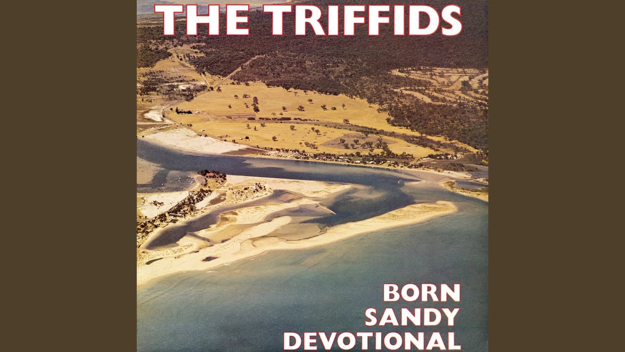 Born Sandy Devotional - YouTube
