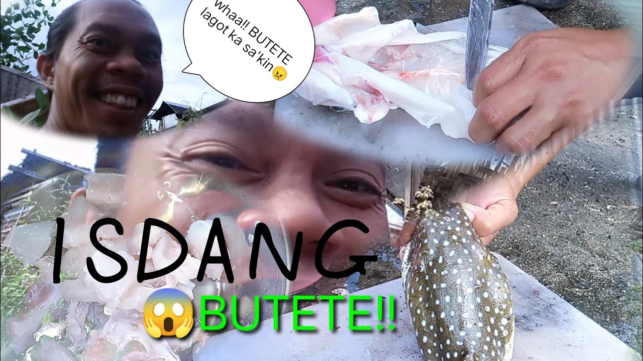 BUTETE OR PUFFERFISH| tinanggal muna Ang parte na nakakalason | catch ...