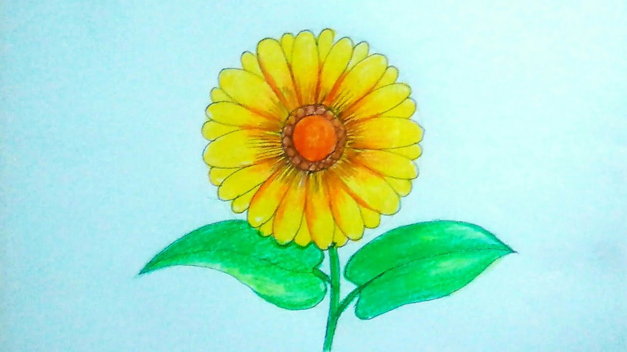 surjomukhi full drawing | sunflower drawing | flower drawing ...