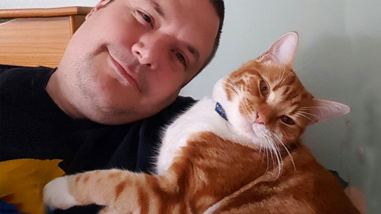 Cute Cats and Their Owner have the Sweetest Moments Of Love Together ...