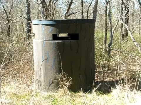 American Black Vulture "Buzzard" Eggs in a Deer Blind - YouTube