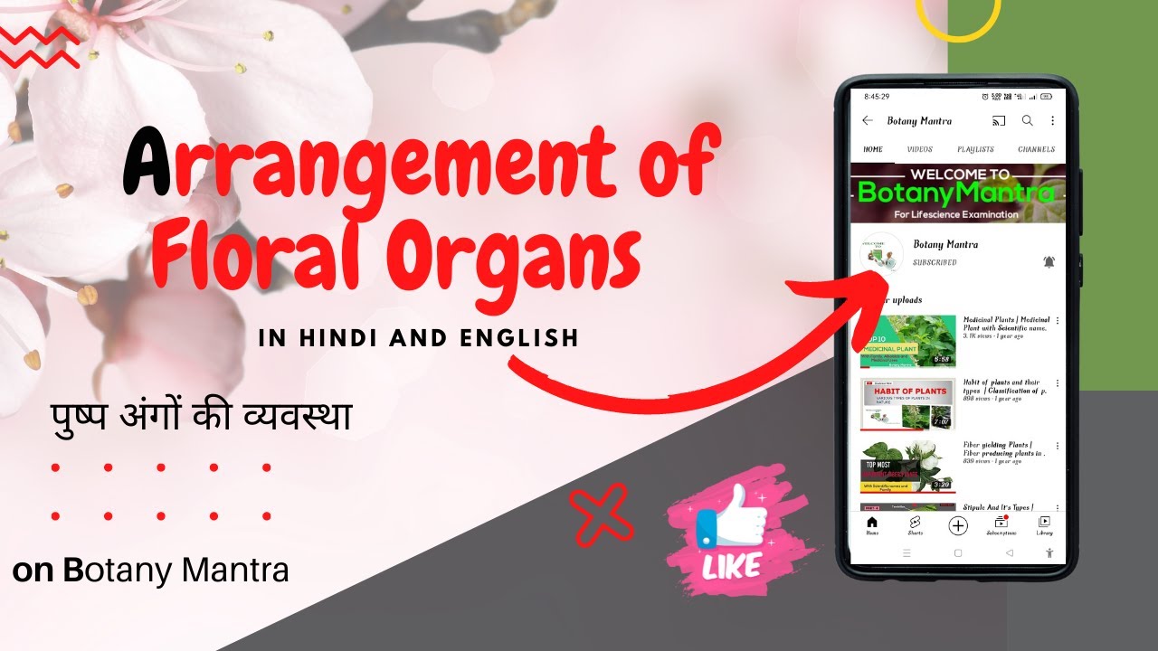 Arrangments of Floral Organs in Flowers in Hindi | Cyclic,Acyclic and ...