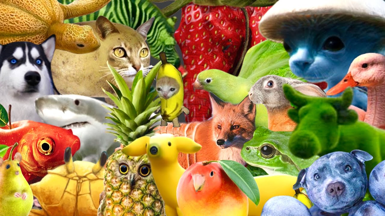 smurf cat and all his friends together - YouTube