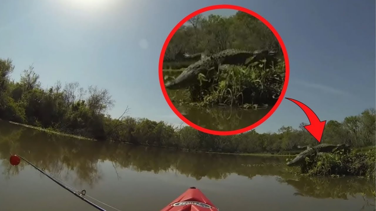 The Top 7 Crocodile Encounters You Should Avoid Watching | Close calls ...