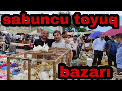 sabuncu toyuq bazarı 06.06.2021