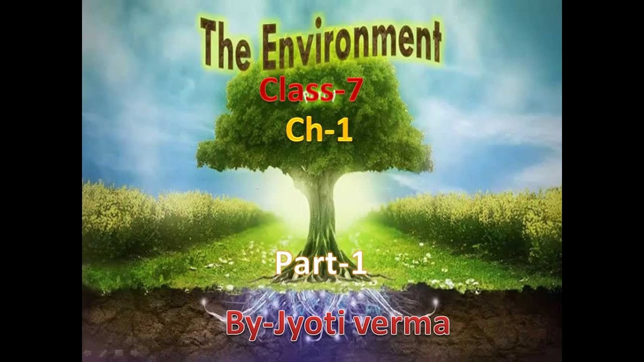Environment Class 7 Part 1 By jyoti YouTube environment-class-7-part-1-by-jyoti-youtube