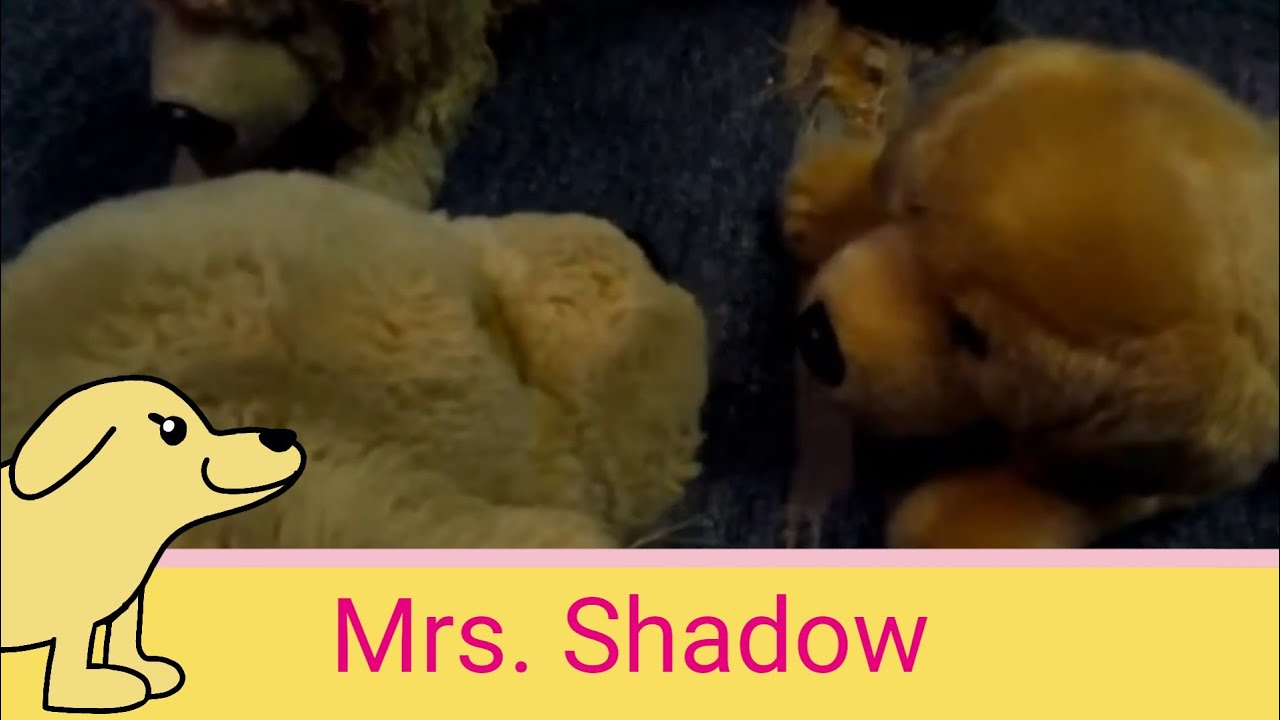 Mrs. Shadow - Little Shadow - YouTube