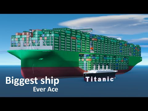The biggest ship in the world! - Ever Ace Cargo Ship - A 3D Animation - @Learn from the base