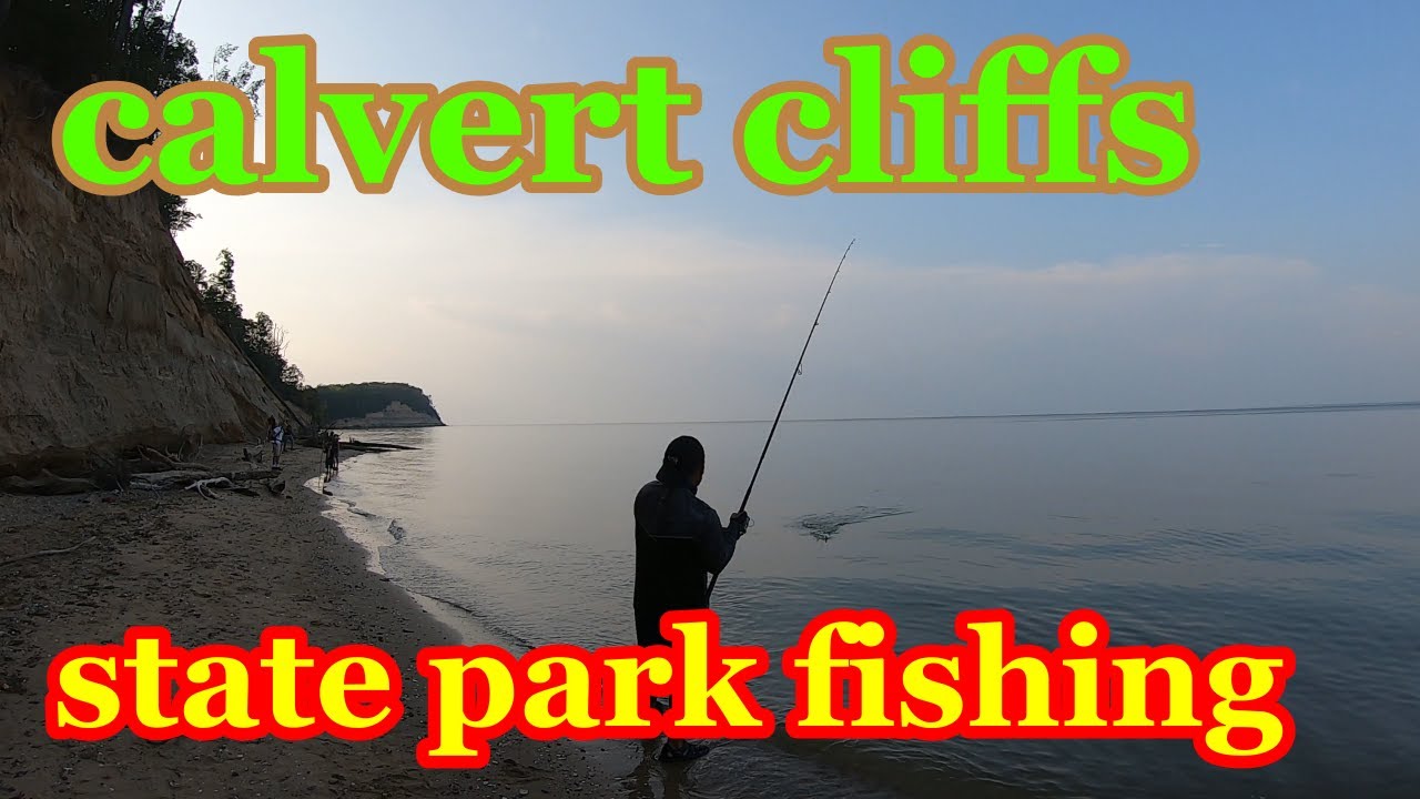 fishing at calvert cliffs state park//pesca en calvert cliff Maryland - YouTube