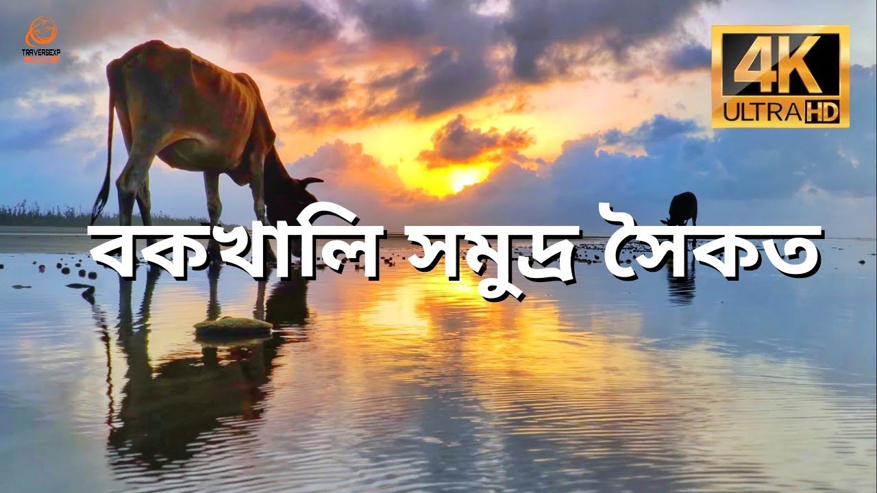 Bakkhali Sea Beach 2021 | Bakkhali Tour | West Bengal | 4K - YouTube