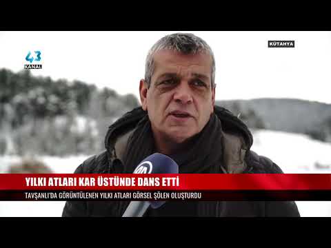 YILKI ATLARI KAR ÜSTÜNDE DANS ETTİ