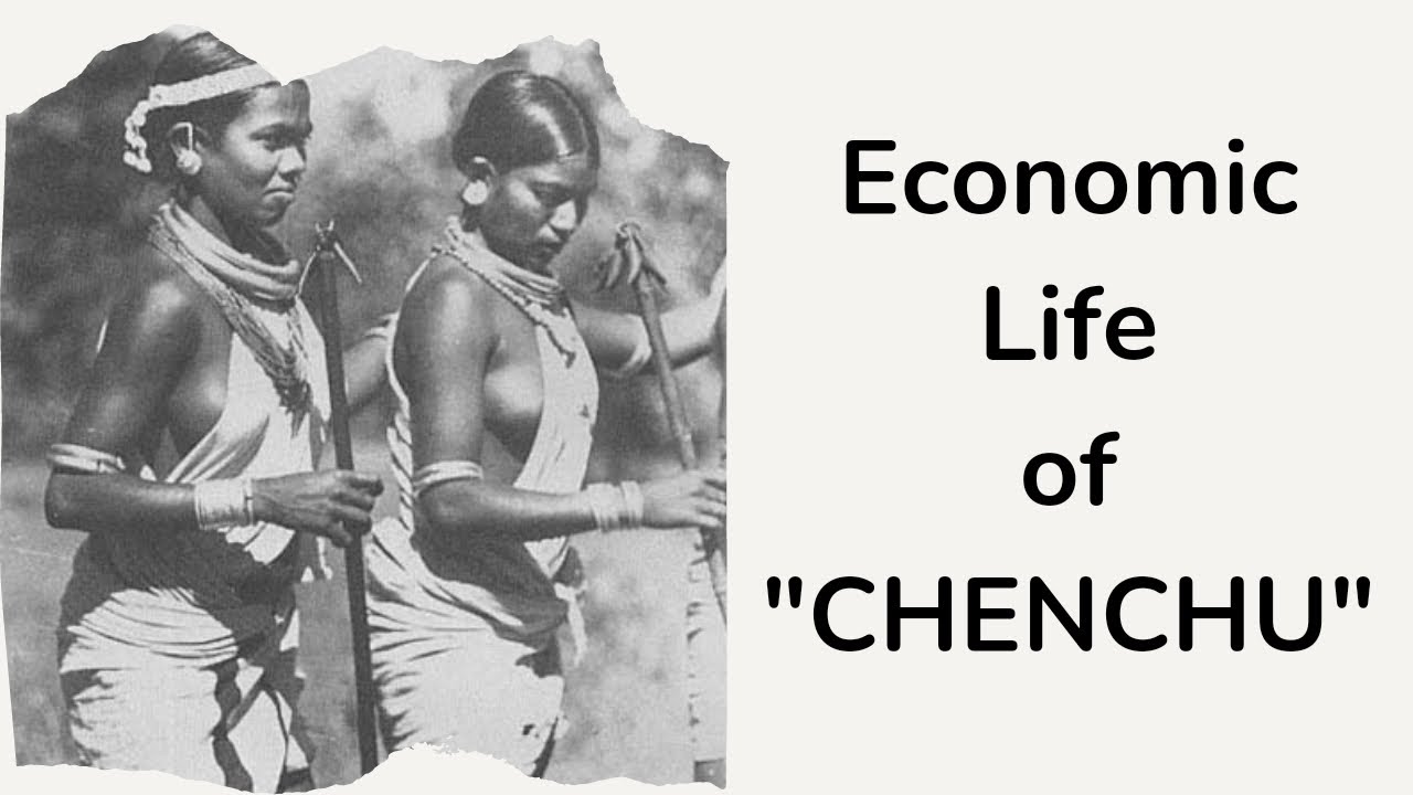 Economic life of "CHENCHU TRIBE" | Food gathering and Hunting - YouTube