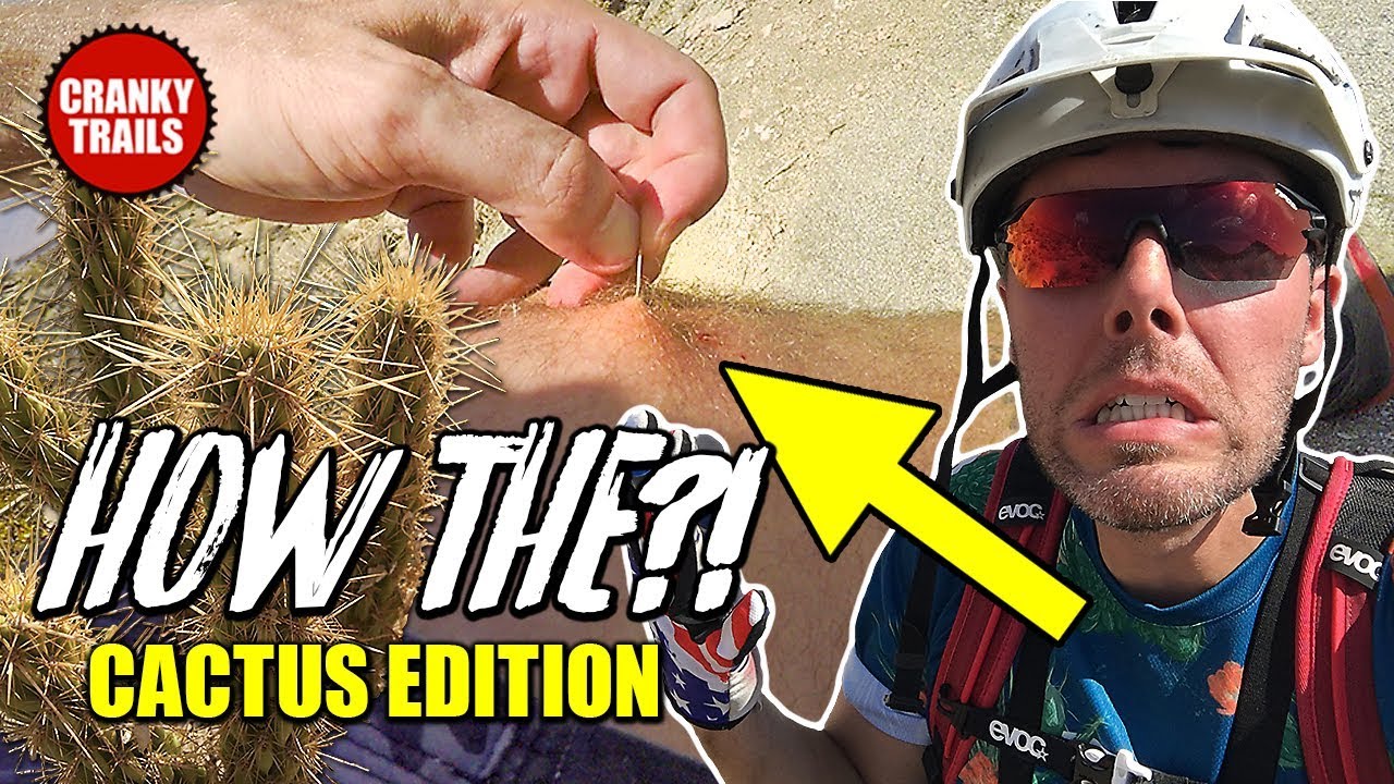 Mountain Biking FAIL / Falling on a Cactus in Palm Springs - YouTube