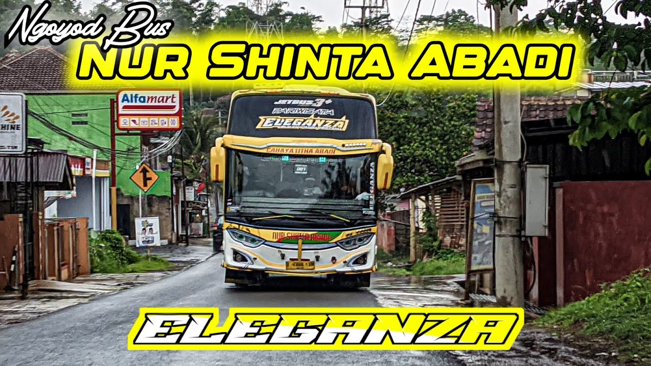 Ngoyod Bus Eleganza, Full basuri‼️🔥 - YouTube