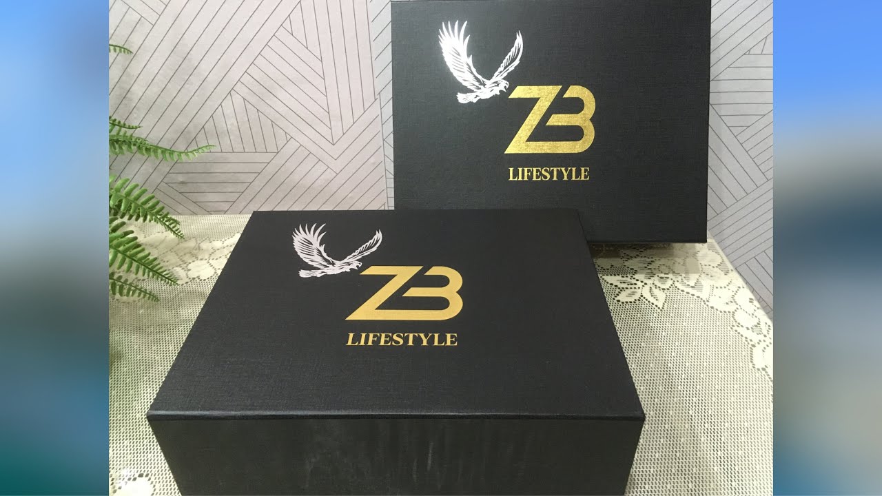 Hoodie ZB Lifestyle - YouTube