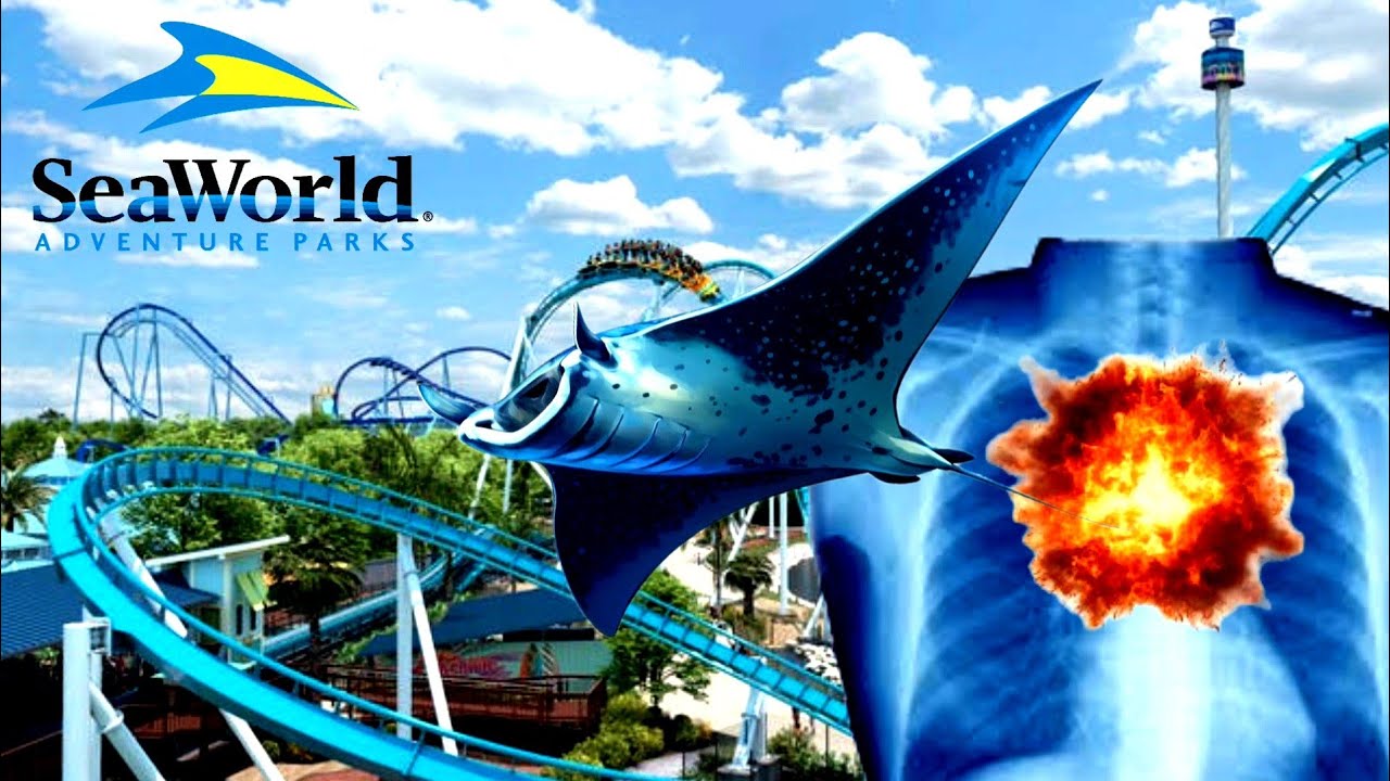 SEAWORLD 1st time review | Orlando the full guide Ep12 - YouTube