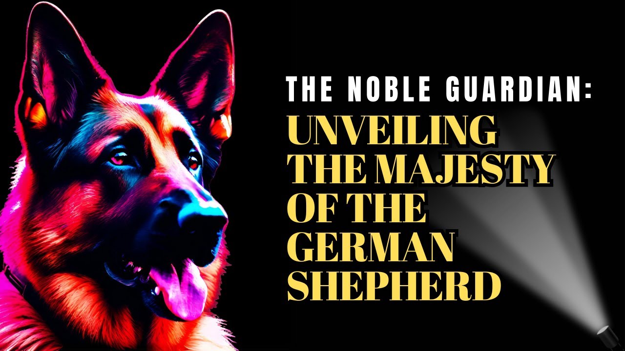 The Noble Guardian: Unveiling the Majesty of the German Shepherd - YouTube