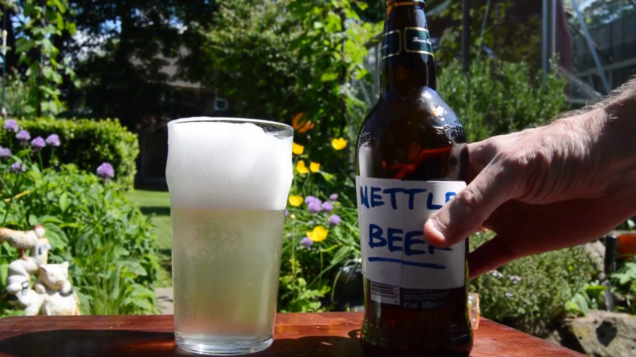 Making nettle beer - YouTube