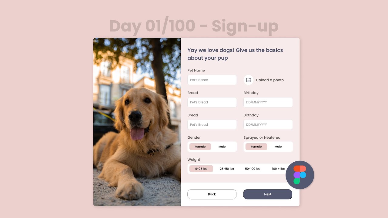 Daily UI Design Challenge | Day - 01 | Sign Up Page - YouTube