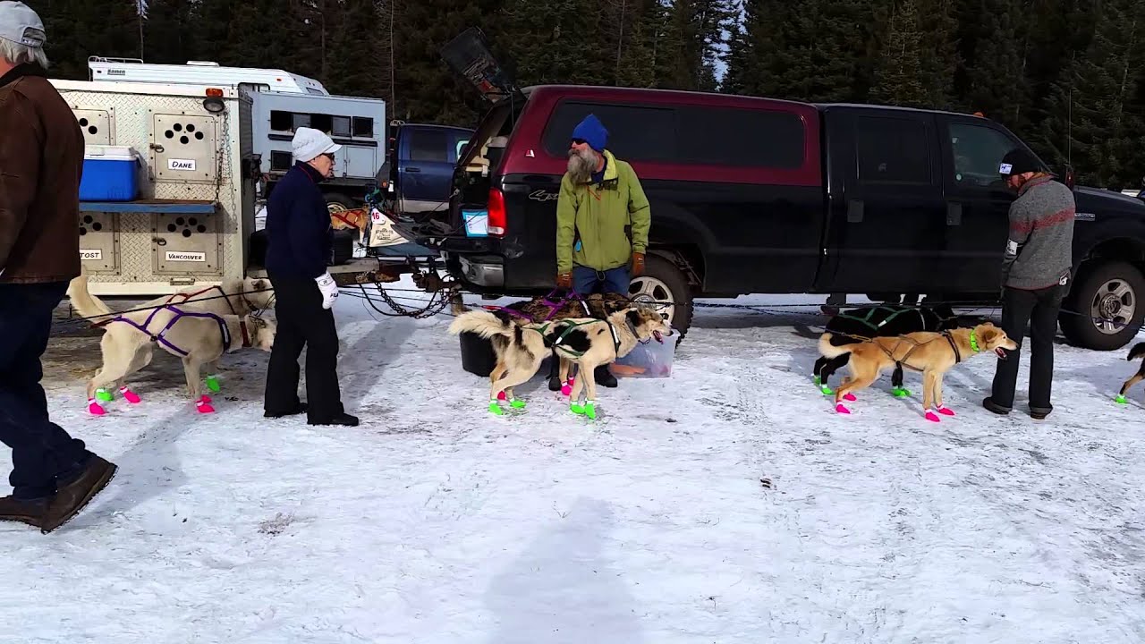 ECX 2015 Race - Angelique Ram Team Ready to GO - YouTube