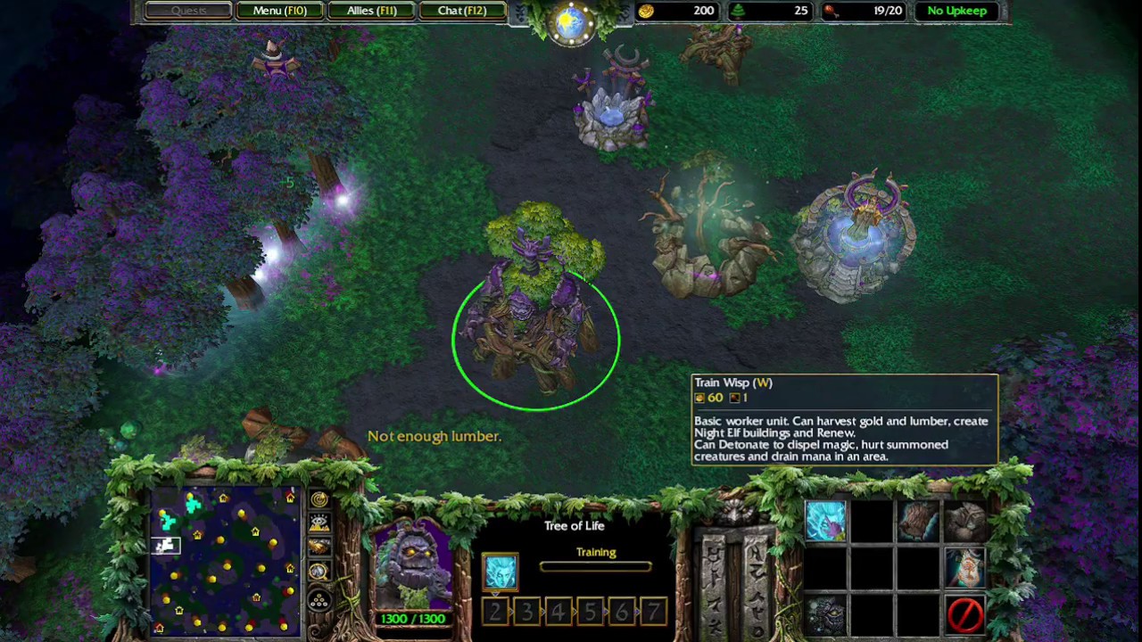 Warcraft 3 Reforged NightElf Gameplay (Warden) - YouTube