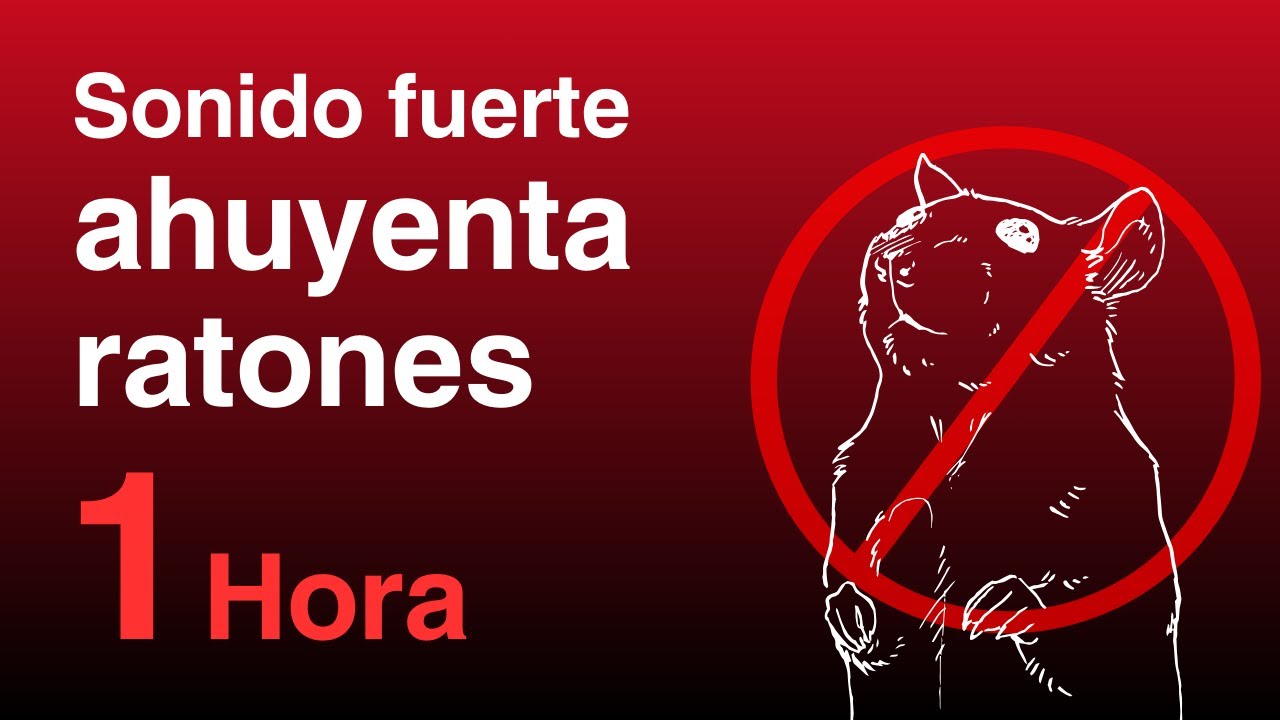 Sonido Repelente de Ratas y Ratones | Sonido ultrasónico inaudible ...