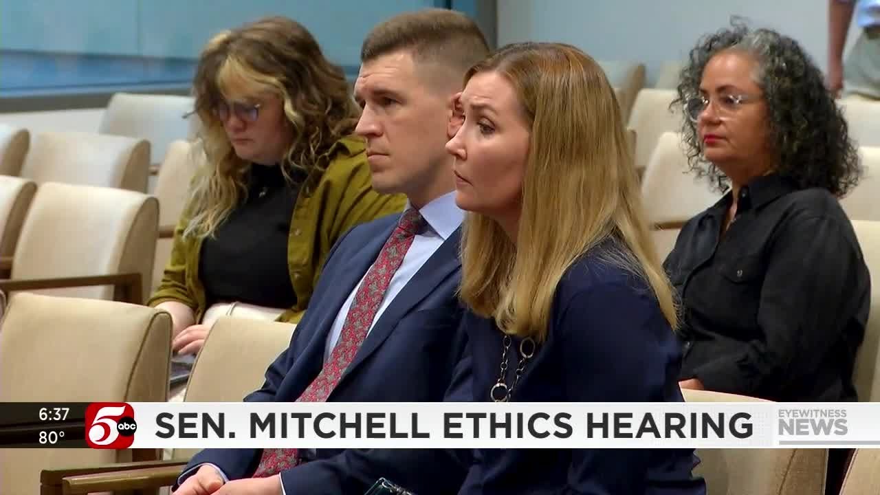Ethics committee delays action on state Senator Nicole Mitchell until after next court date ...