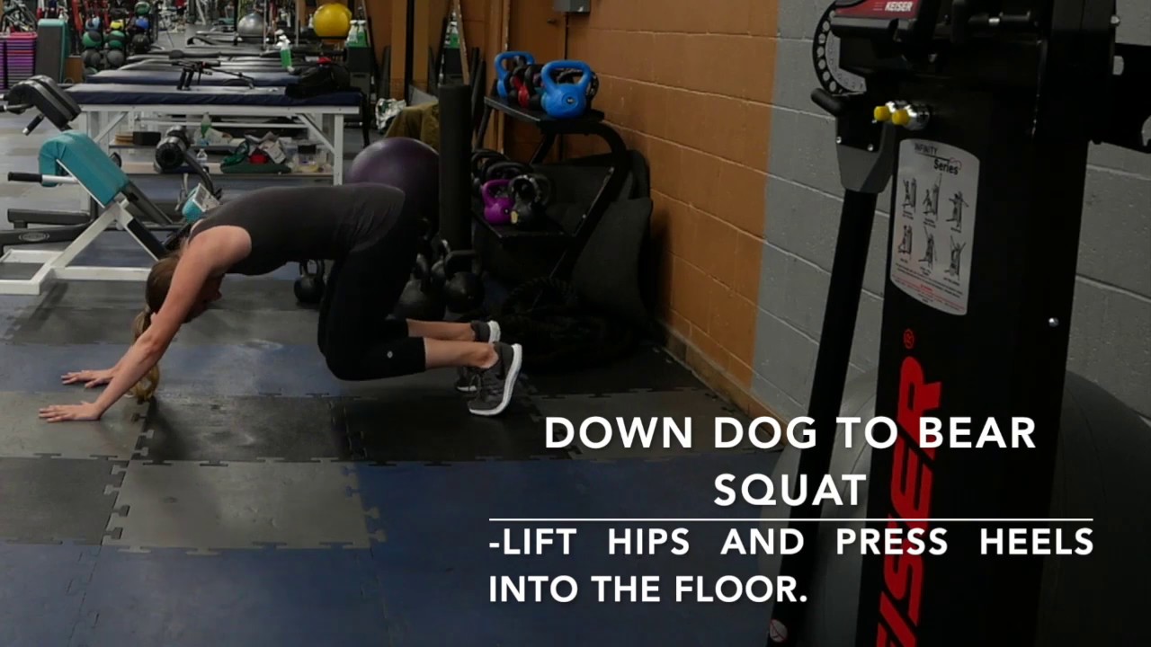 Down Dog to Bear Squat - YouTube