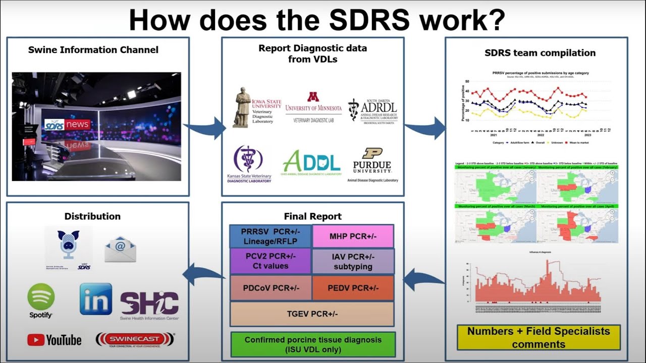 What is SDRS? - YouTube