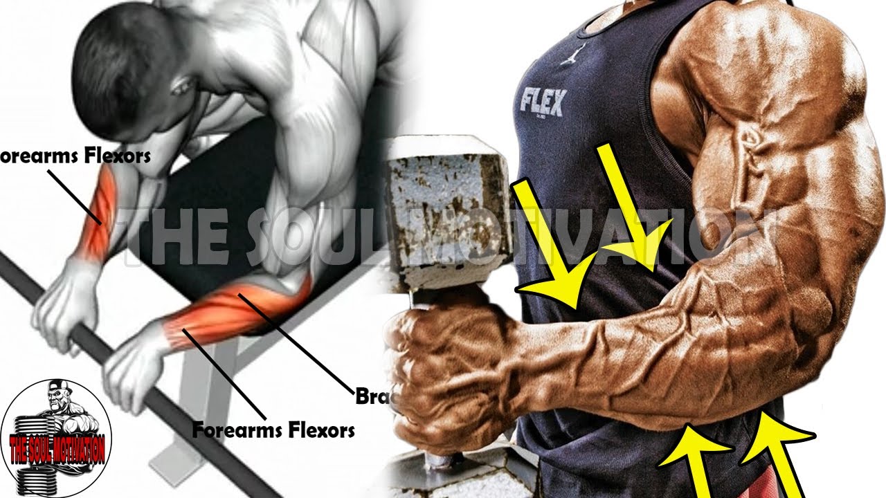 5 FOREARMS EXERCISES FOR MASS - CRUSH GRIP STREANTH - YouTube
