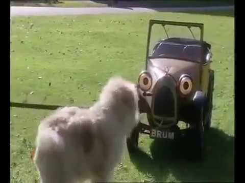 Brum 302 NAUGHTY DOG Kids Show Full Episode - YouTube